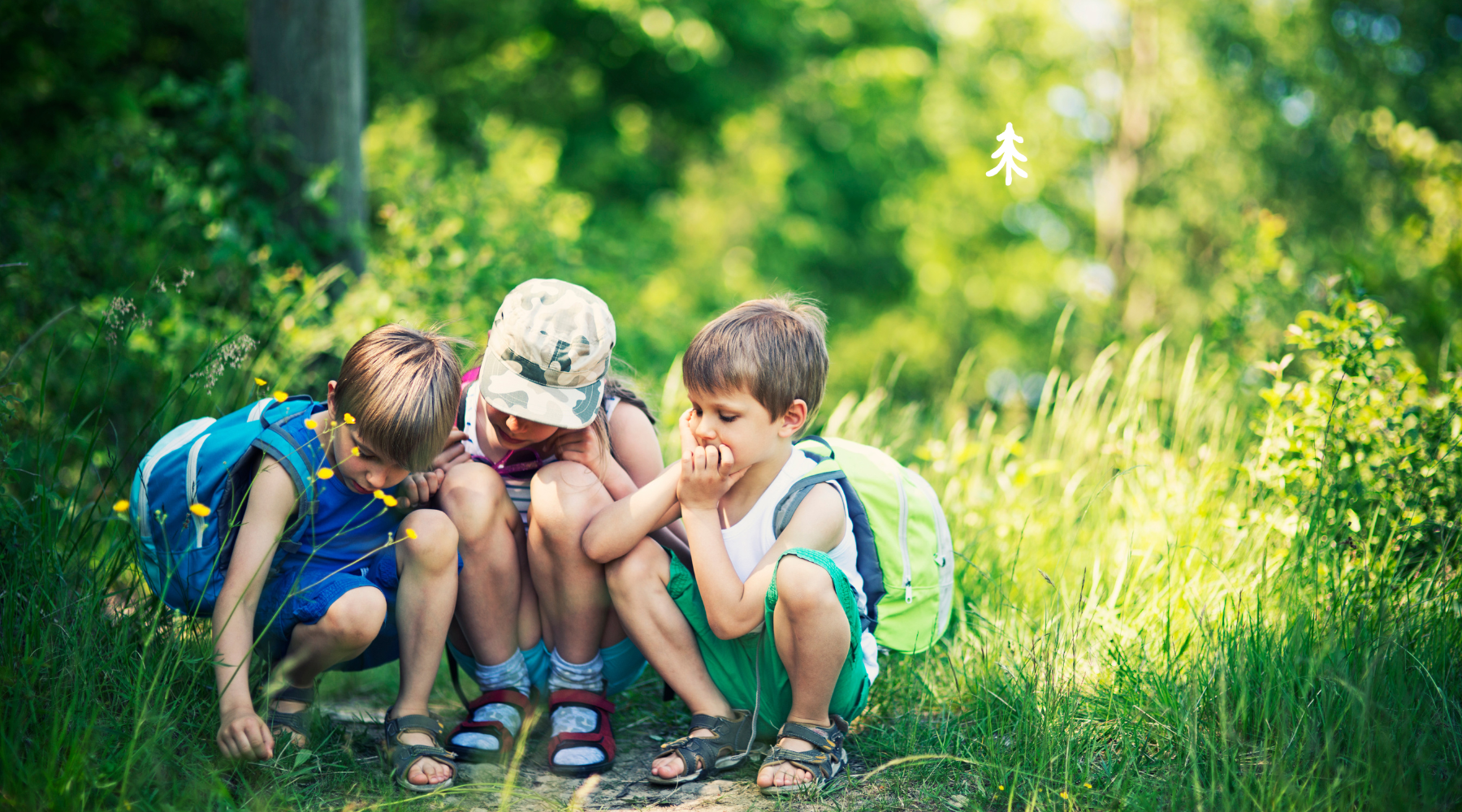 Nature's Classroom: Educating Kids About National Parks – Wild | Life ...