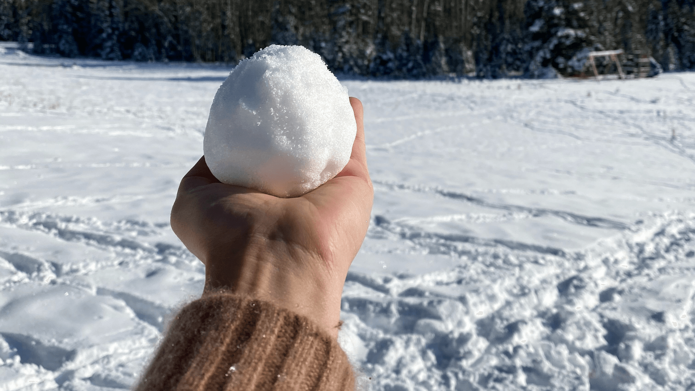 Planning an Outdoor Party in Winter - Wild | Life Outdoor Adventures