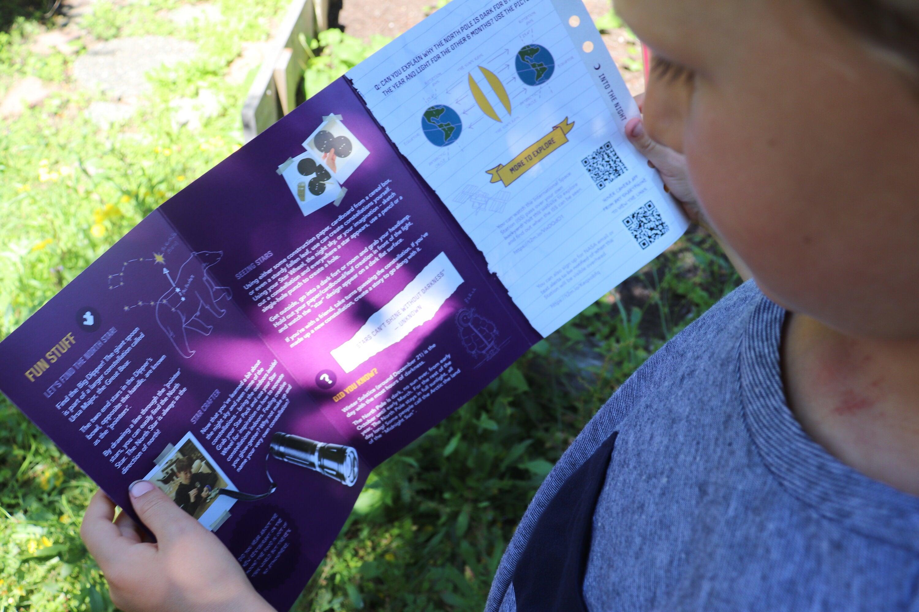 Natural Navigation in Winter – Wild | Life Outdoor Adventures